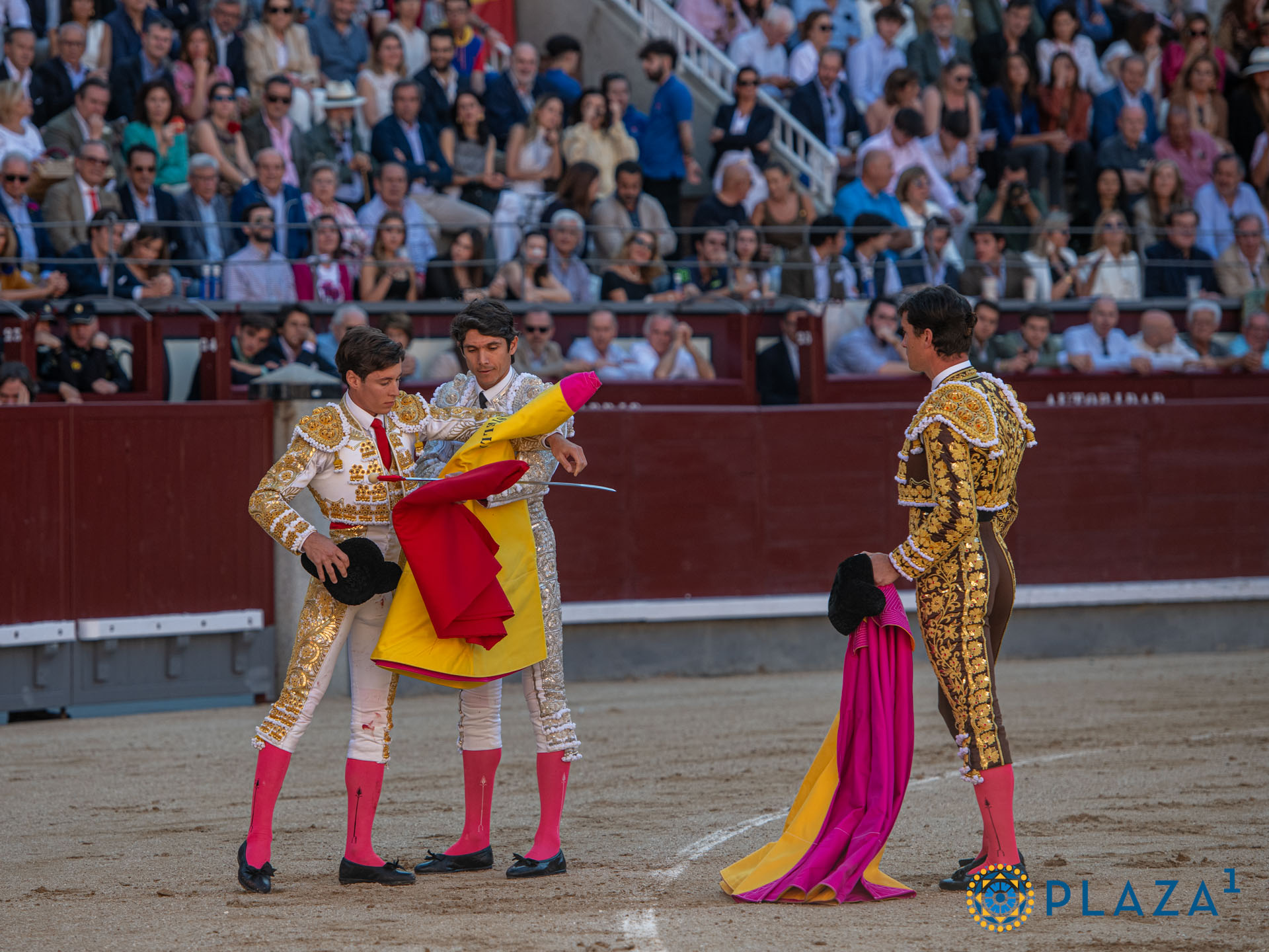 A TOREROS CON PODER TOROS DESCASTADOS – Cargando La Suerte